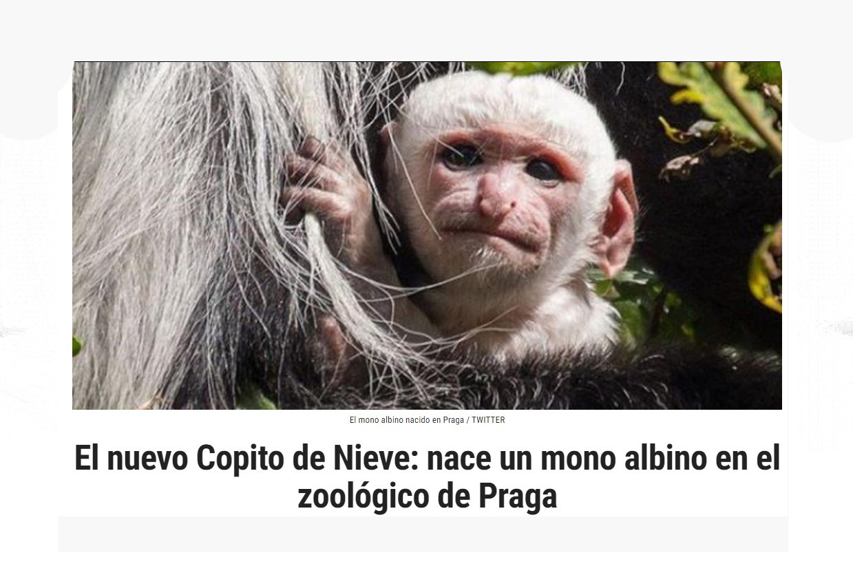 COPITO DE NIEVE, icono de Barcelona - BARCELONA MEMORY